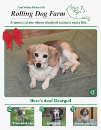 A special place where disabled animals enjoy life - Rolling Dog Farm